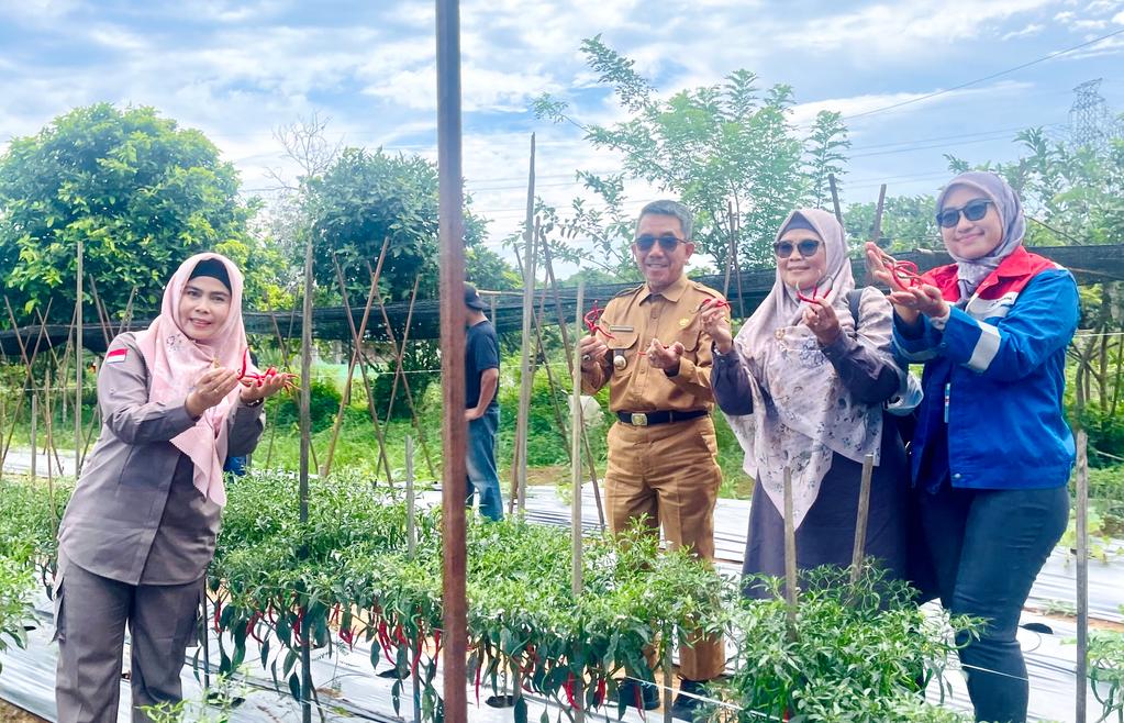 Permata Borneo, Inovasi Lestari Pulihkan Hutan dengan Langkah Berkelanjutan di Kutai Timur ...